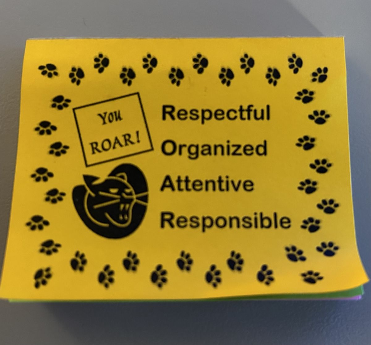 What are PAWS? | article