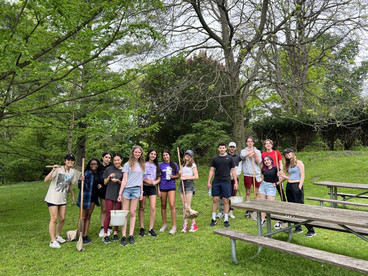 IB Diploma Program Students Collaborate on Science Projects | News ...