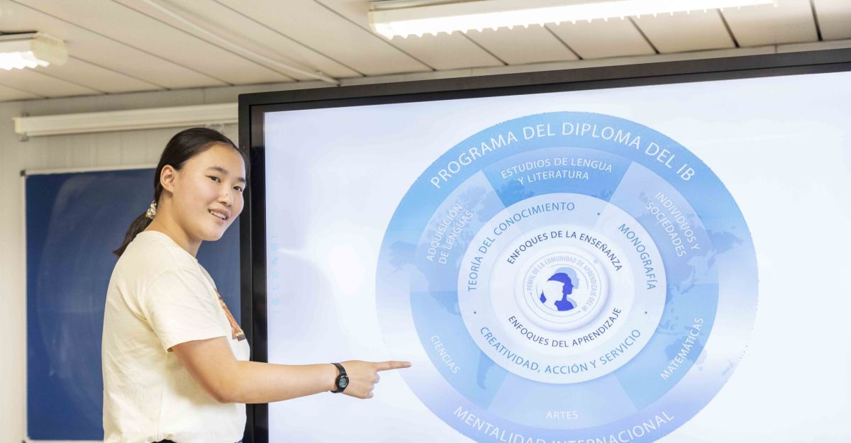 ¿Qué es el IB? | Blog Agora