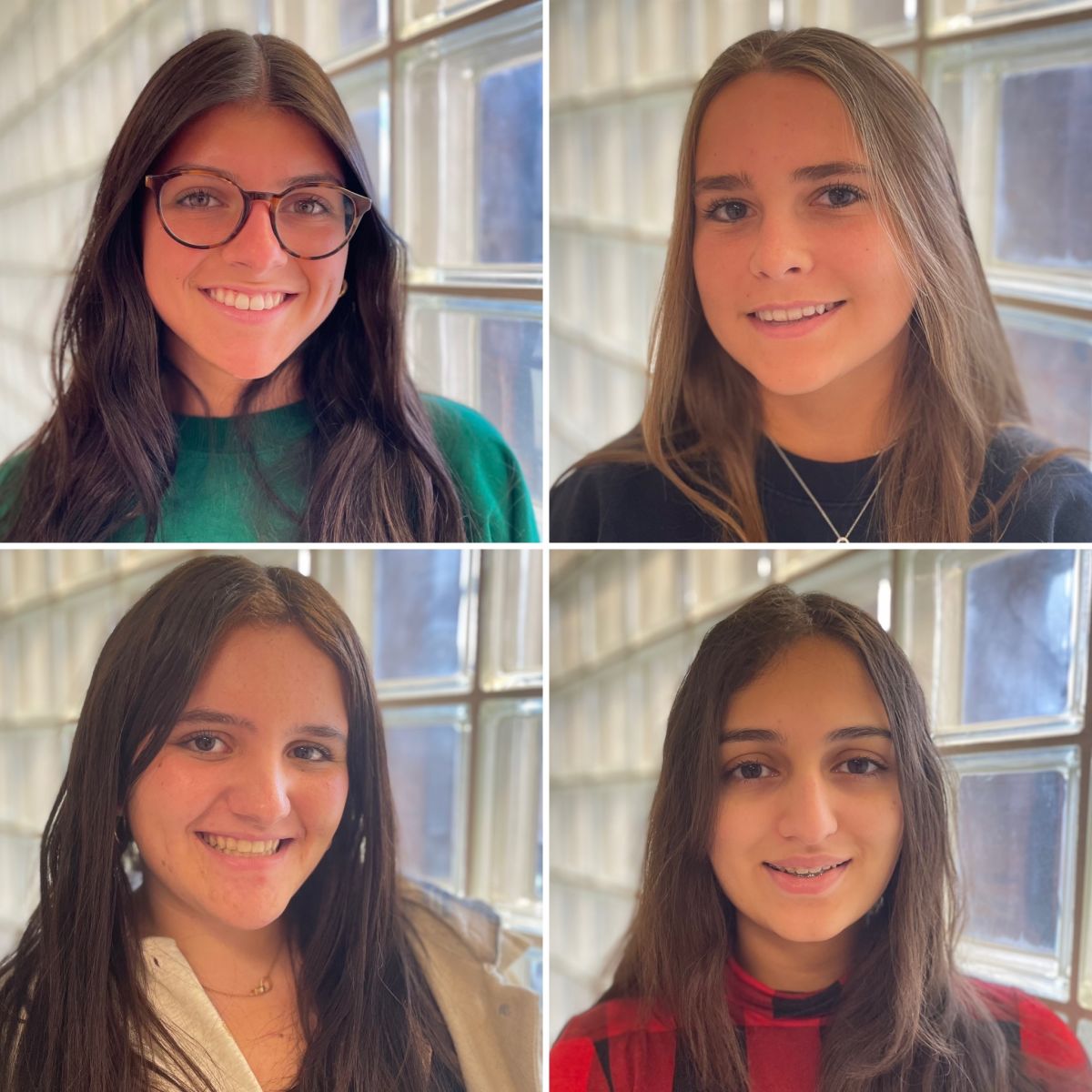 Students From West Recognized With Suffolk County Distinguished Youth ...