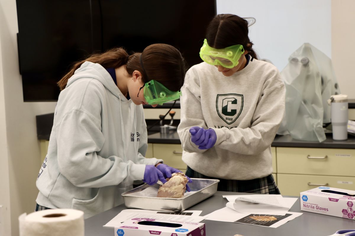 A Hearty Science Lesson | Stories Details Page