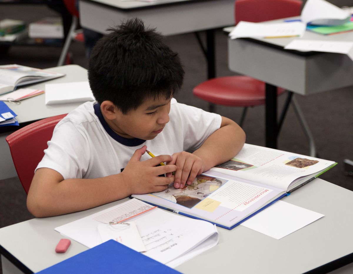 Research a key to Science Fair success | News - Chicago City Day School