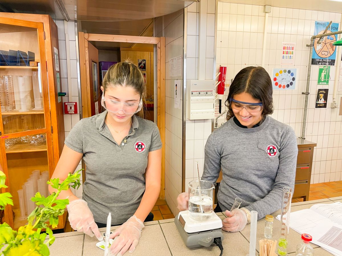 Cracking Hydrocarbons: Combining Theory with Experiments | post