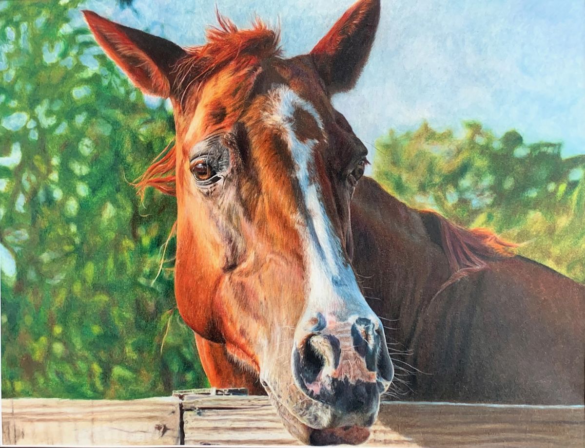 Rodeo Art Auction Winners Announced | News details