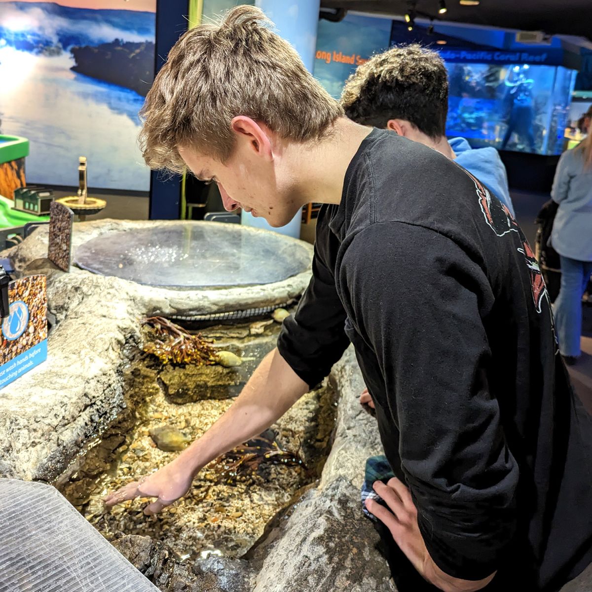 Marine Biology Class Visits Mystic Aquarium | News Details - Eagle Hill ...