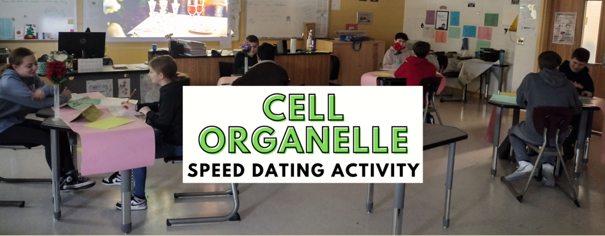 Scientific speed dating | TSC Posts