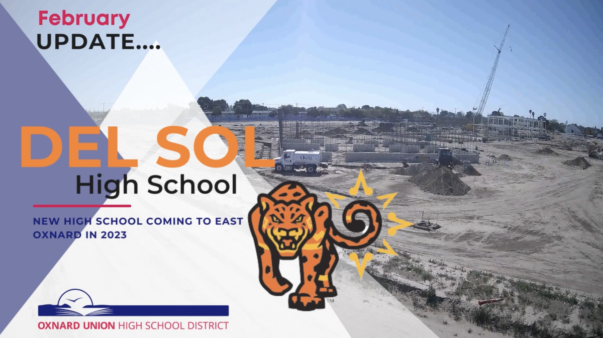 Del Sol Update February 2023 | Single Article