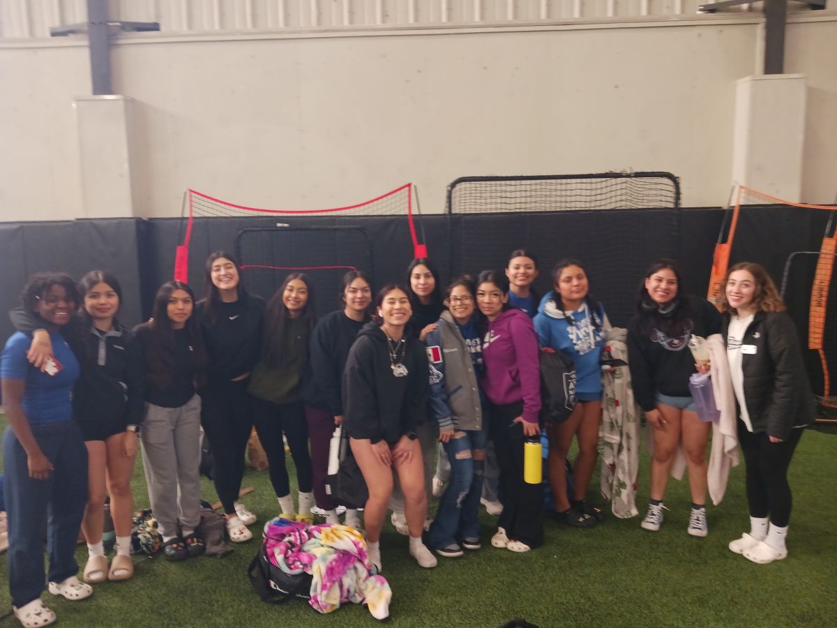 Lady Lions Power Lifting It Up | Post Details Page