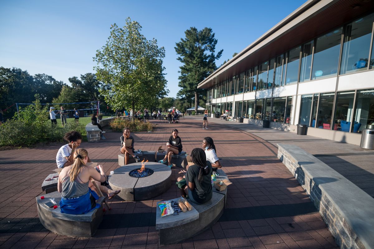 Reading Signs | Roar Article