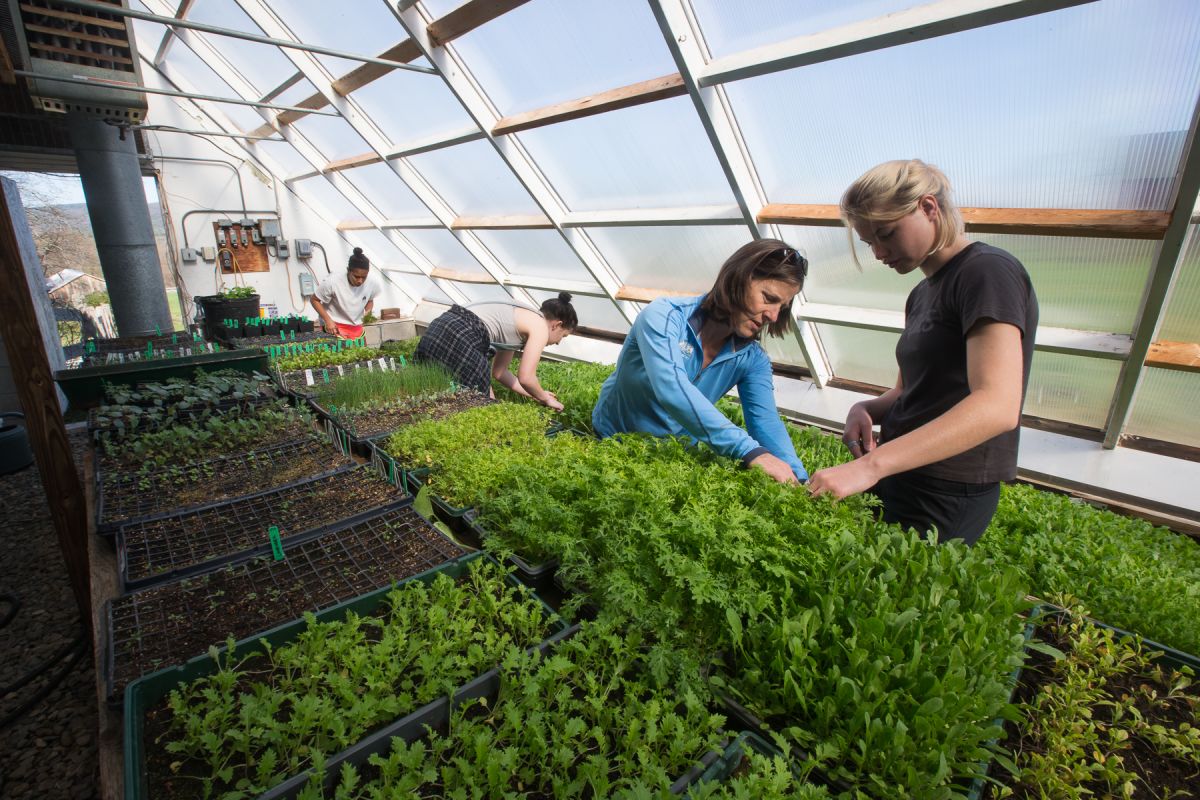 Hefner Named NMH’s First Environmental Studies Chair | News Story