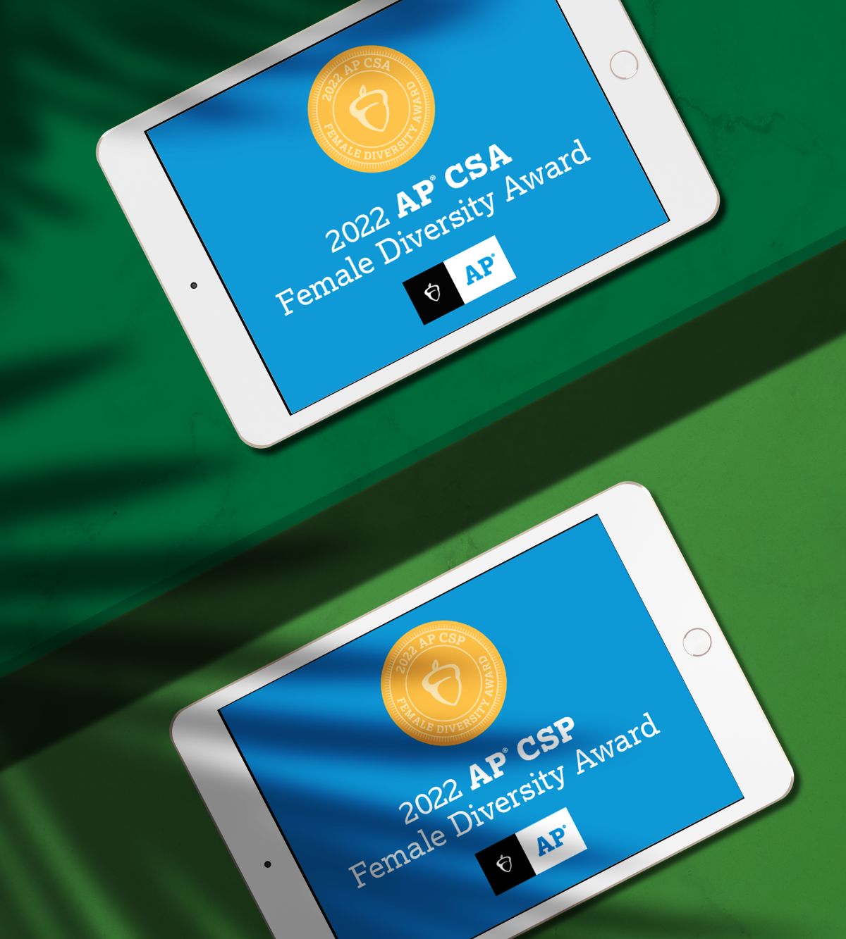 Stuart earns dual AP® Computer Science Female Diversity Award for third ...