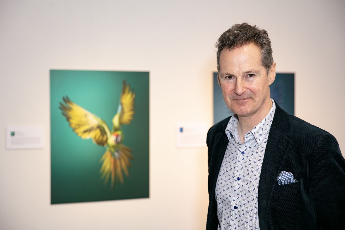 Tim Flach exhibition | News/Event Article