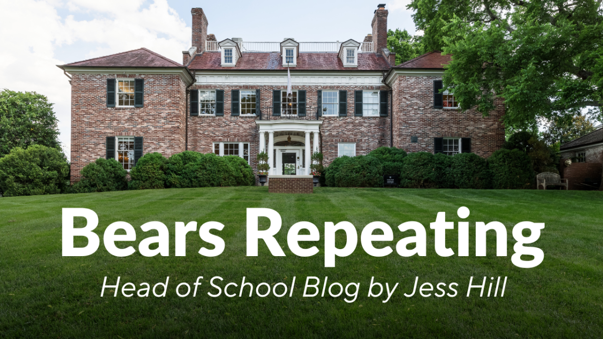 Bears Repeating from Jess Hill: Striving to be goodish | Story Details