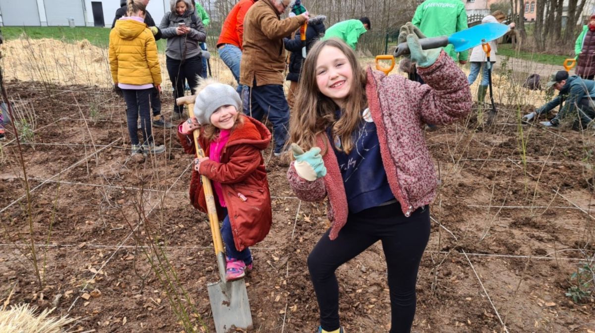 Eco-agent plants micro forest | New Stories