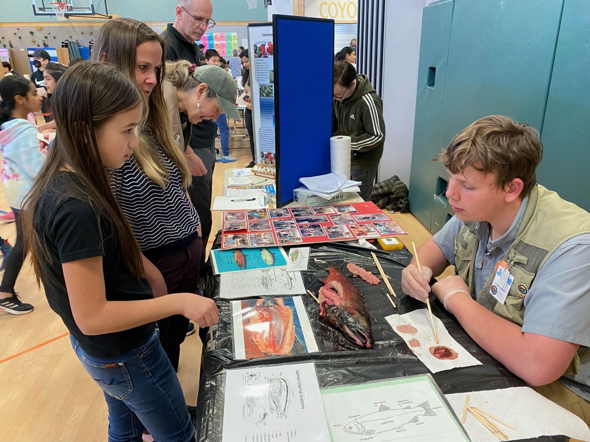 Cascade Ridge Science Fair | News Article - Cascade Ridge Elementary School
