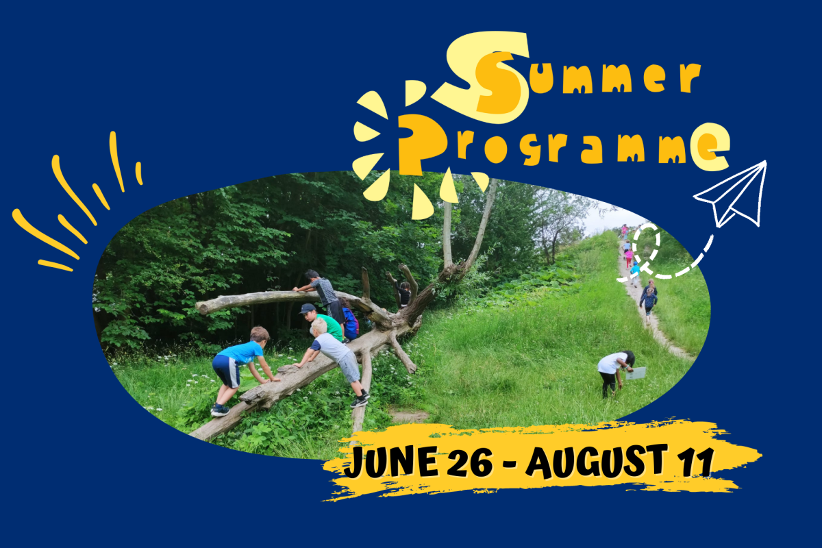 ISH Summer Programme 2023 | Details - International School of Hellerup