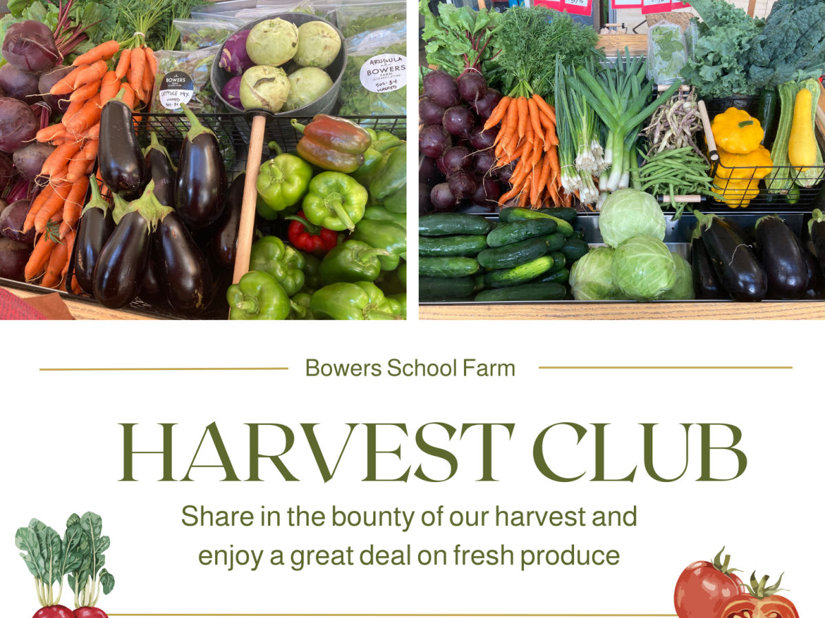 Bowers Farm Harvest Club | News Posts page