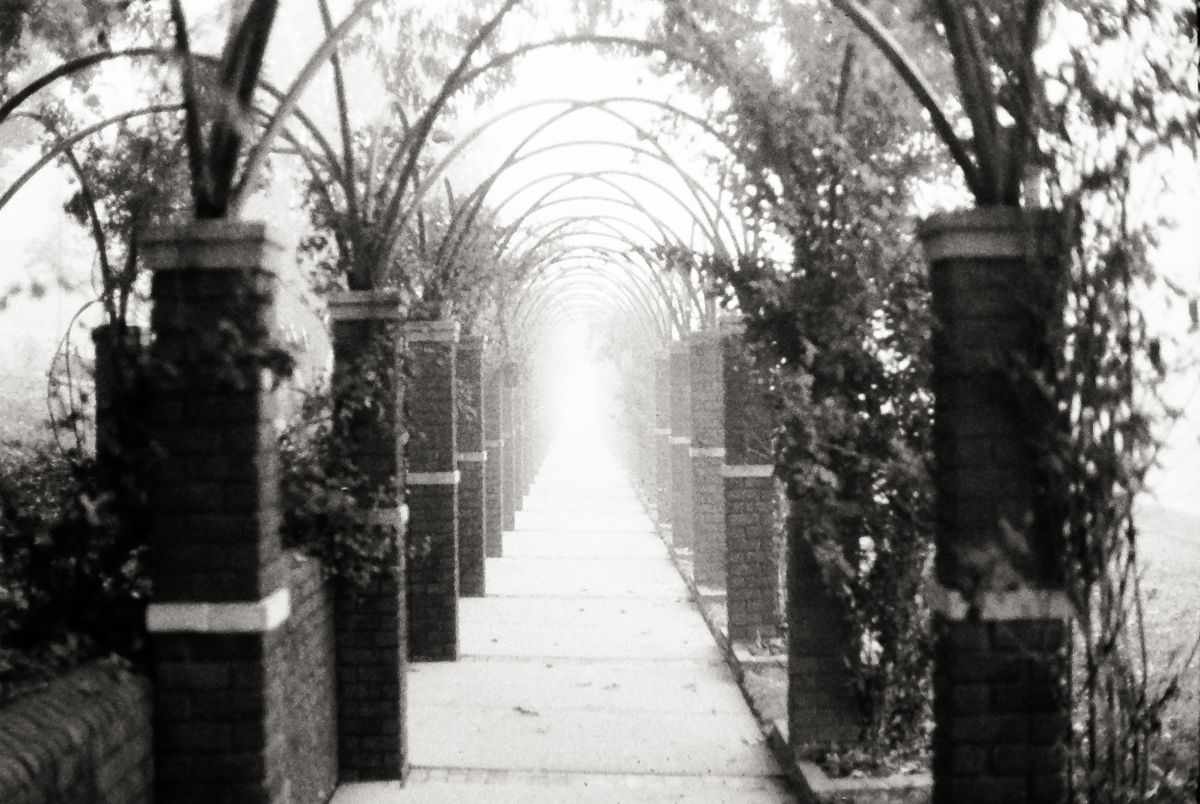 Photography by Mikey Leaf ’25, JJ Mitchell ’24 and Jonathan Sisson ’24 ...