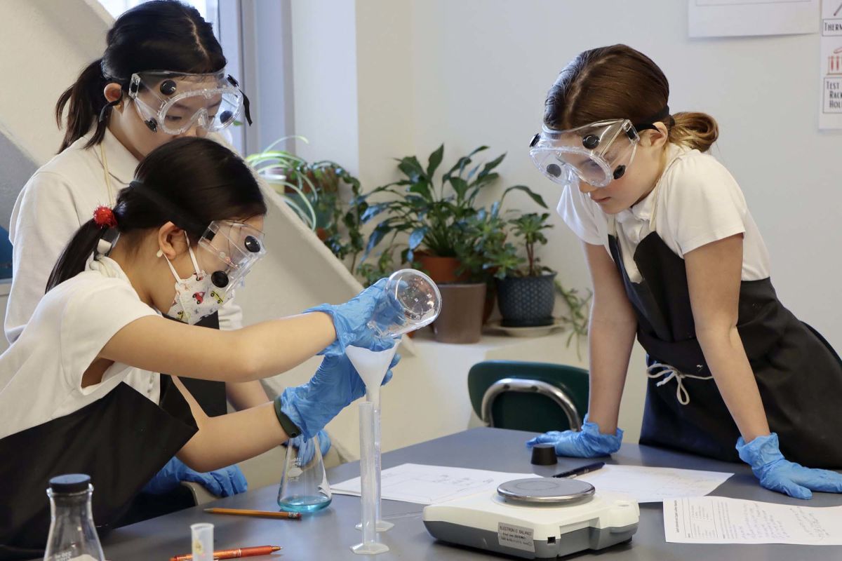 Class 5 Chemists | Stories Details Page