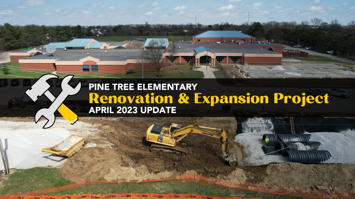 Pine Tree Project Update - April '23 | Pine Tree News & Updates