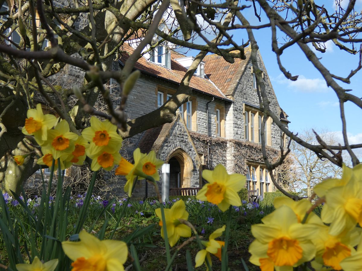 25 Fun Facts about Millfield | Blog Details