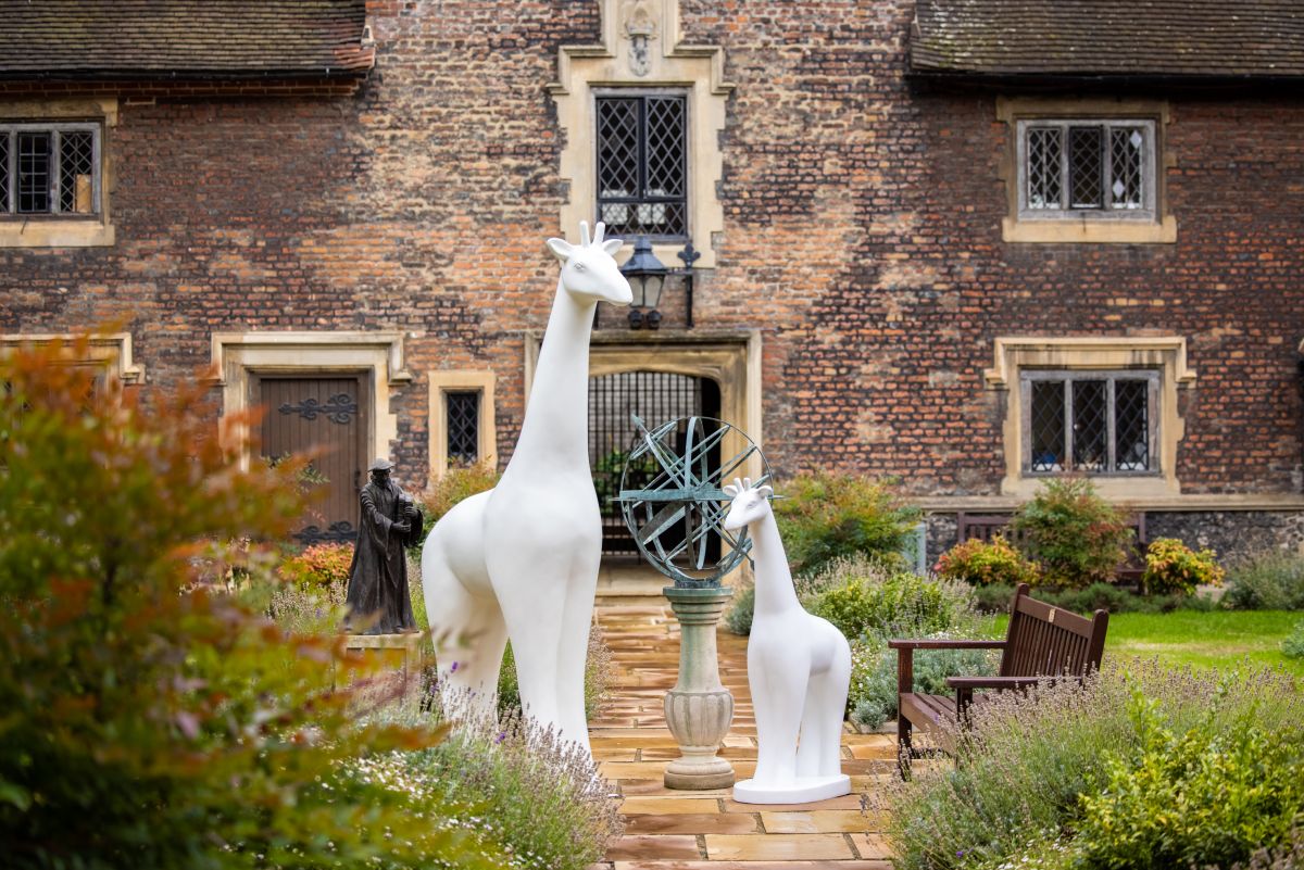 Croydon Stands Tall Campaign | News Details