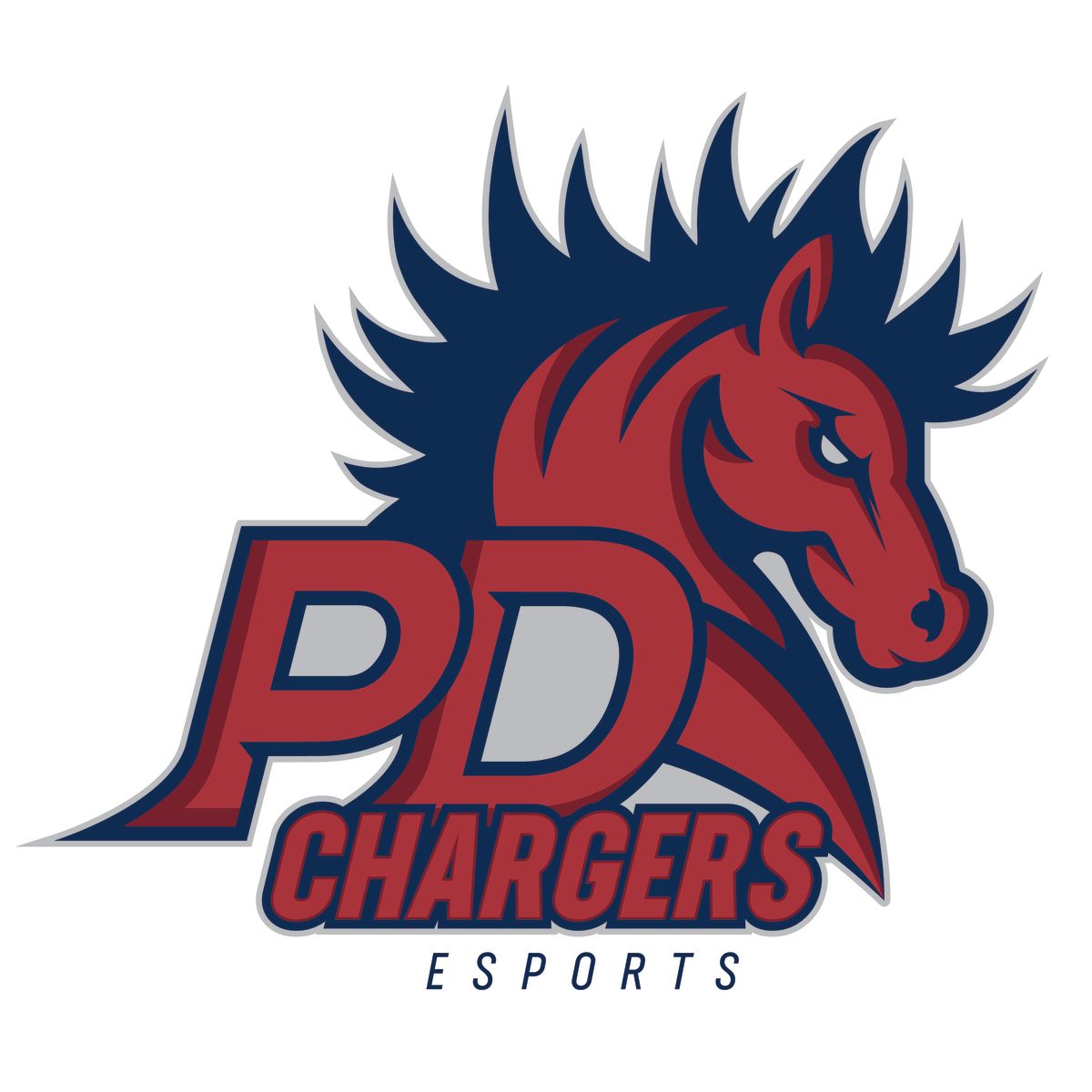 PD eSports Rocket League Team Takes Second in NCISAA State ...