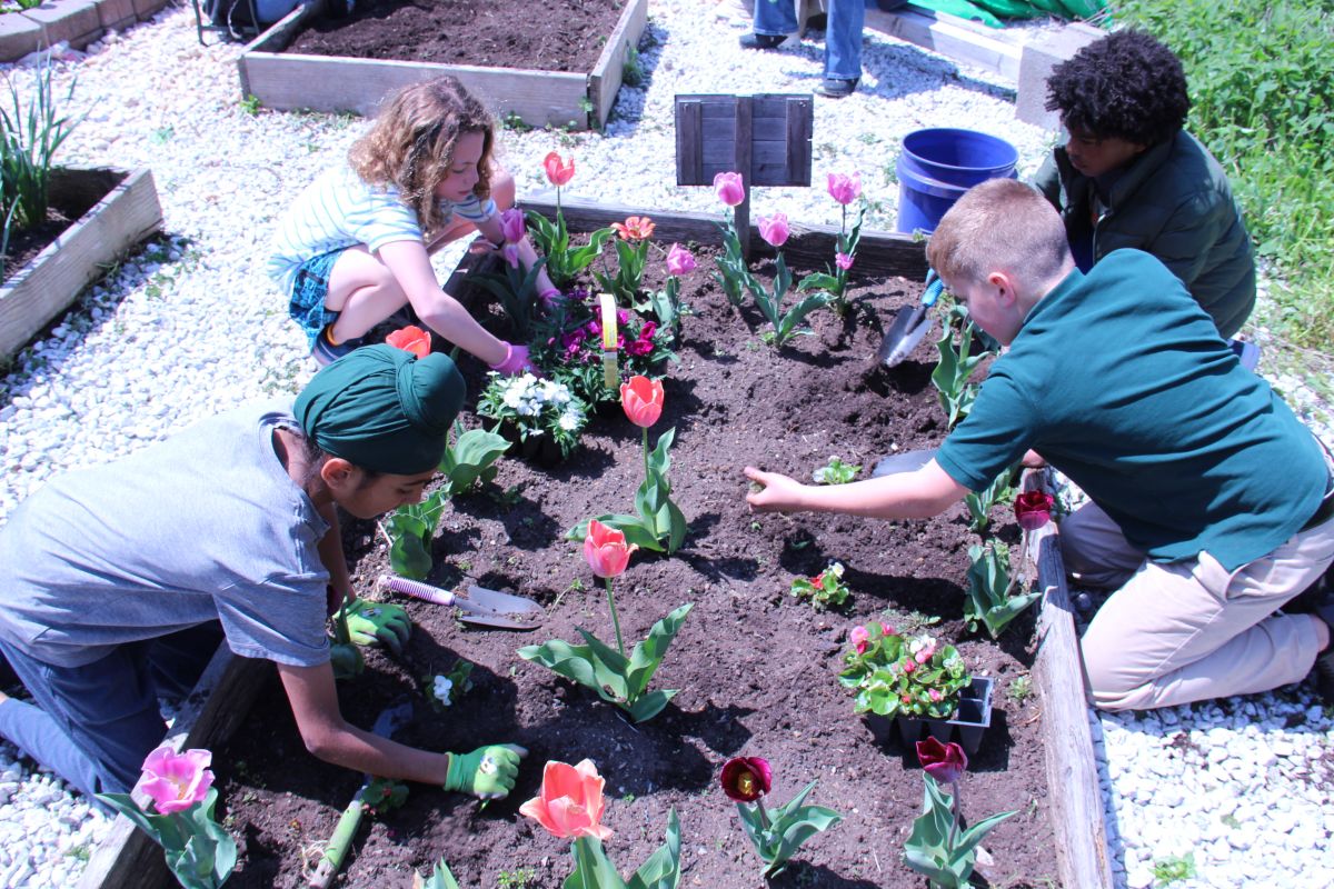 Lower School Students Honor, Recognize Earth Day | News Posts