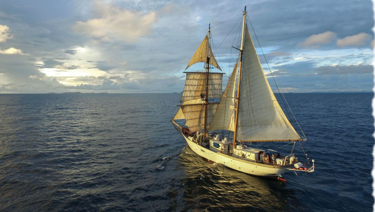 Proctor Academy Announces New Ocean Classroom Partner in SEA | buzz-details