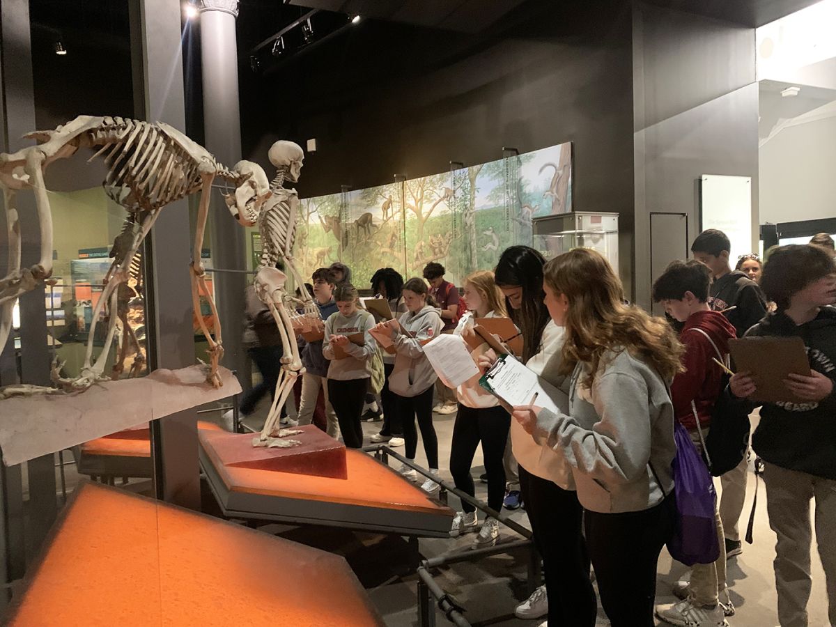 7th Grade Visits American Museum of Natural History | Morristown Beard ...