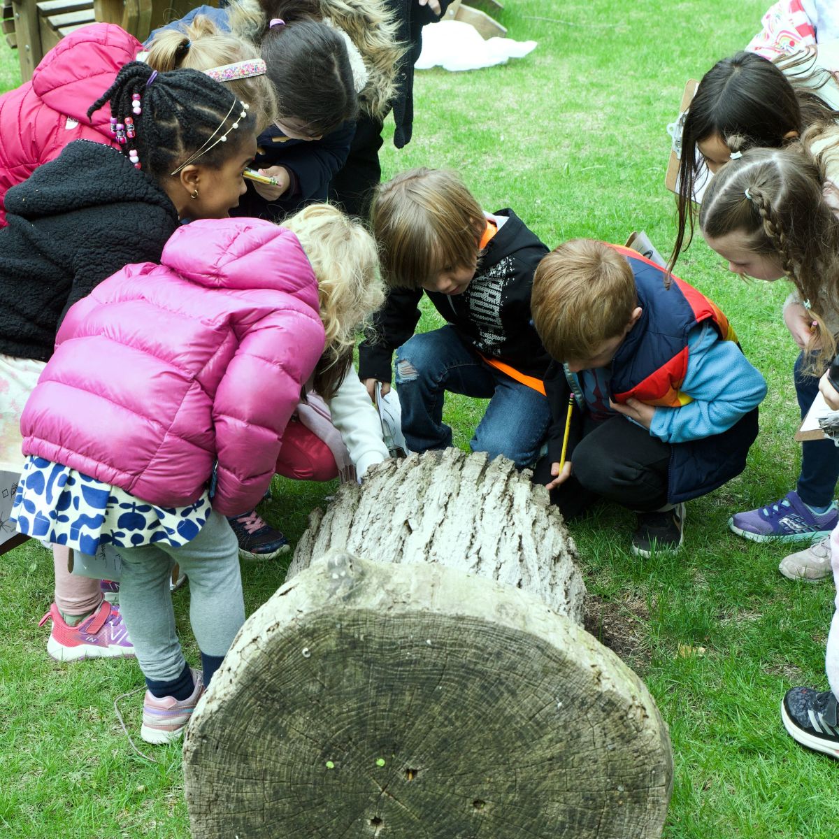 Arbor Day activities focus on trees and more | News - Chicago City Day ...