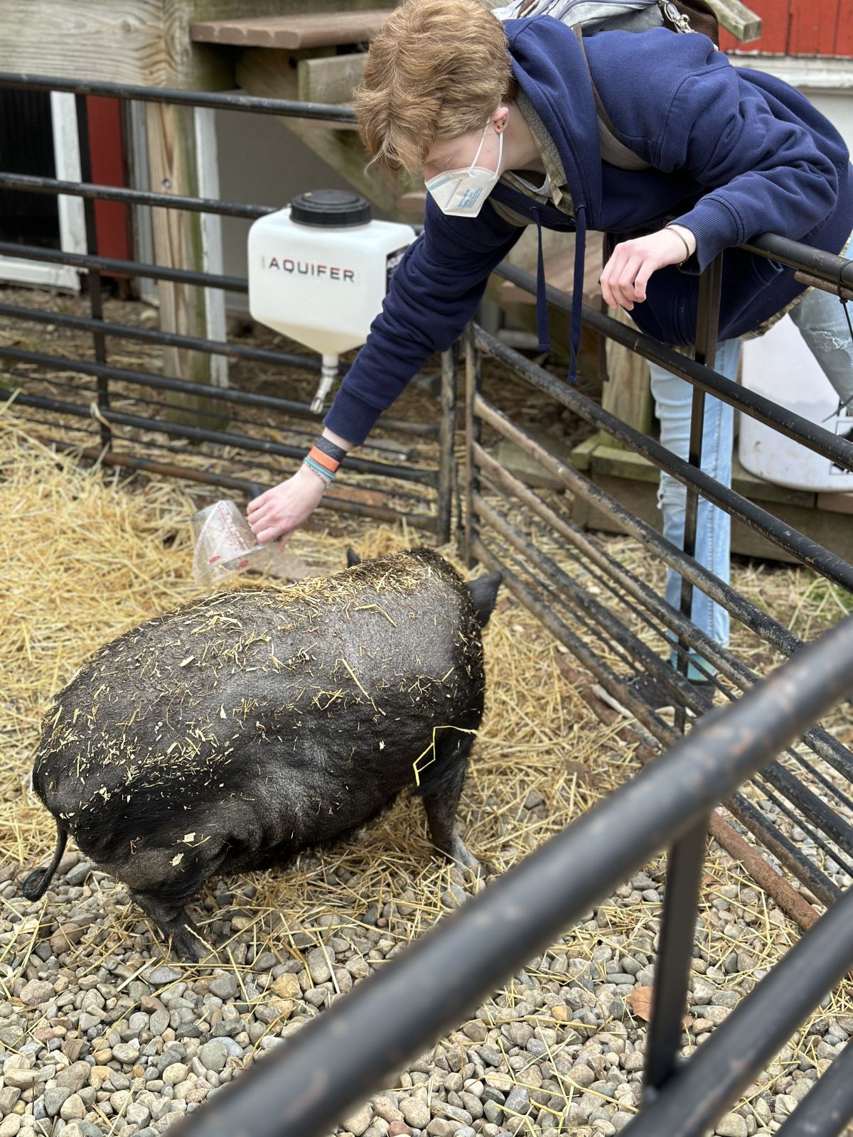 A Peek Inside the Classroom: Mr. Rice’s AFNR Class at Bowers Academy ...