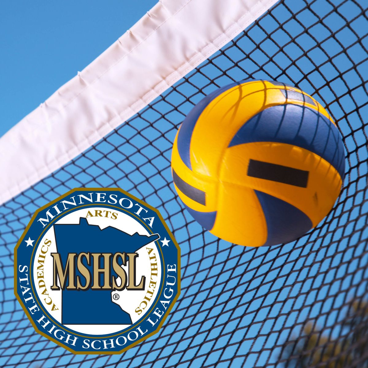 MSHSL Votes to Include Boys Volleyball as a Sport | article