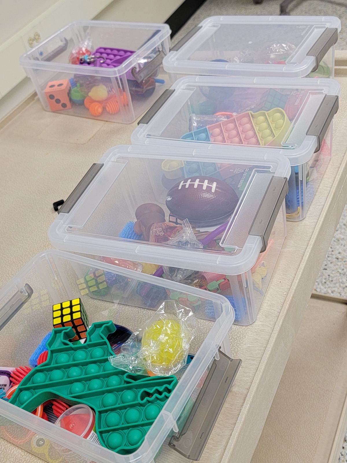 LSW student earns grant to provide sensory tools for elementary ...