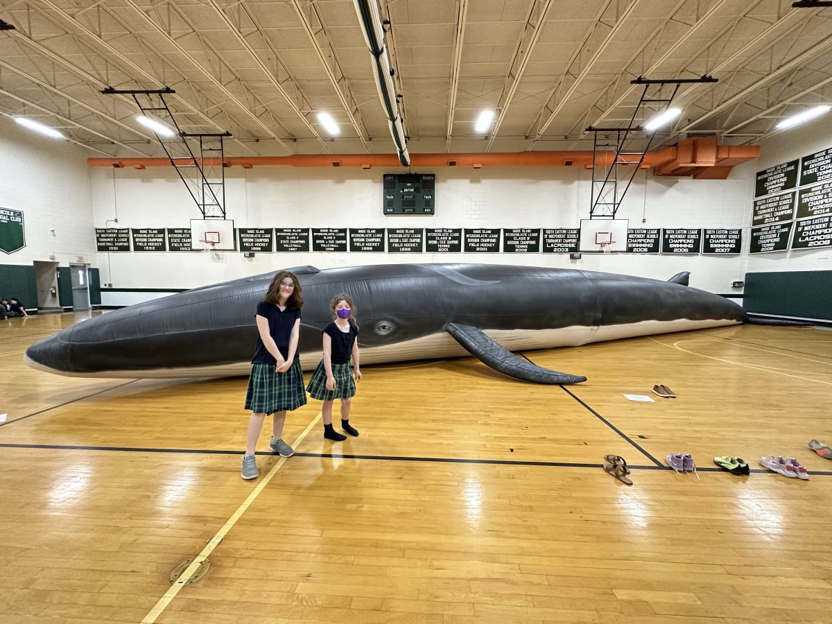 Life Sized Whale Visits Lincoln School | School News Details