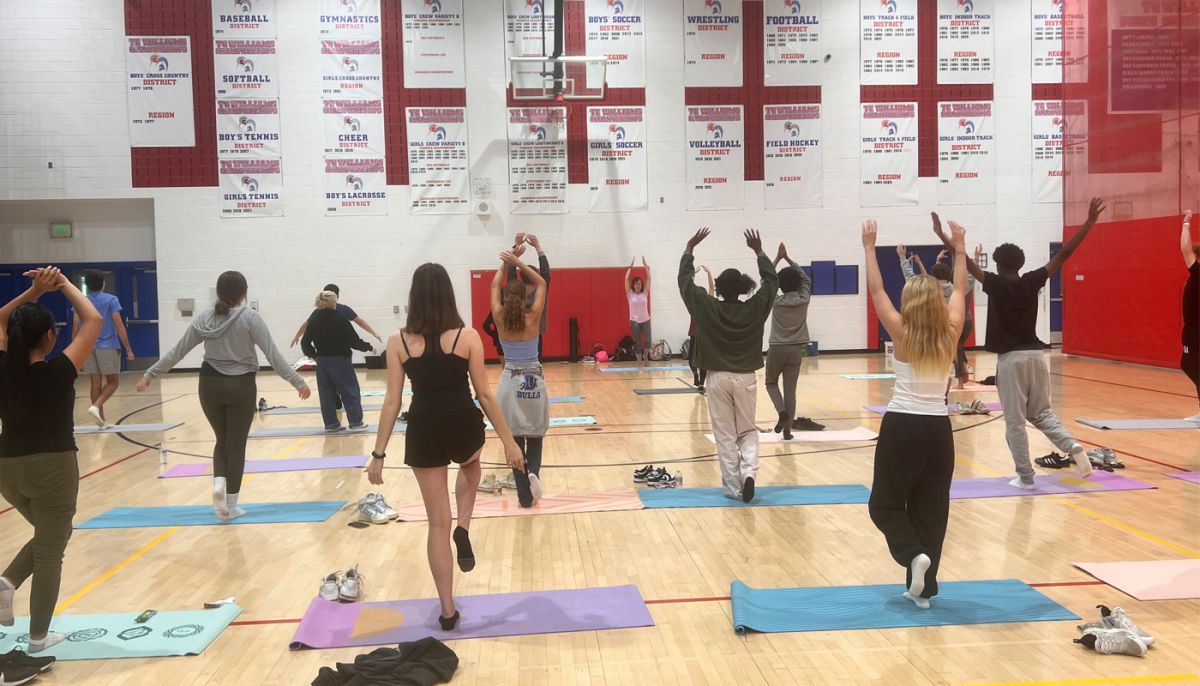 ACHS Mental Health Matters Club Makes a Difference | stories