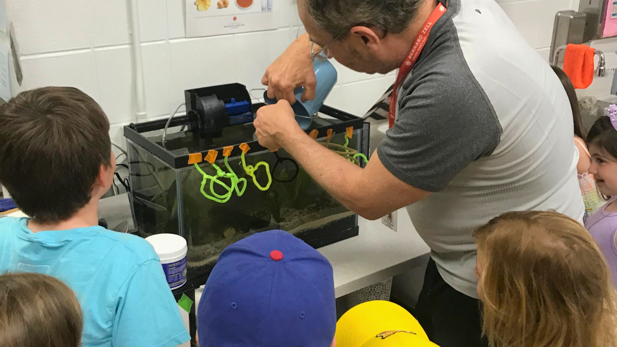 🐠 JK Students Welcome New Fish Friends to Classroom! | Full Article: Ma ...