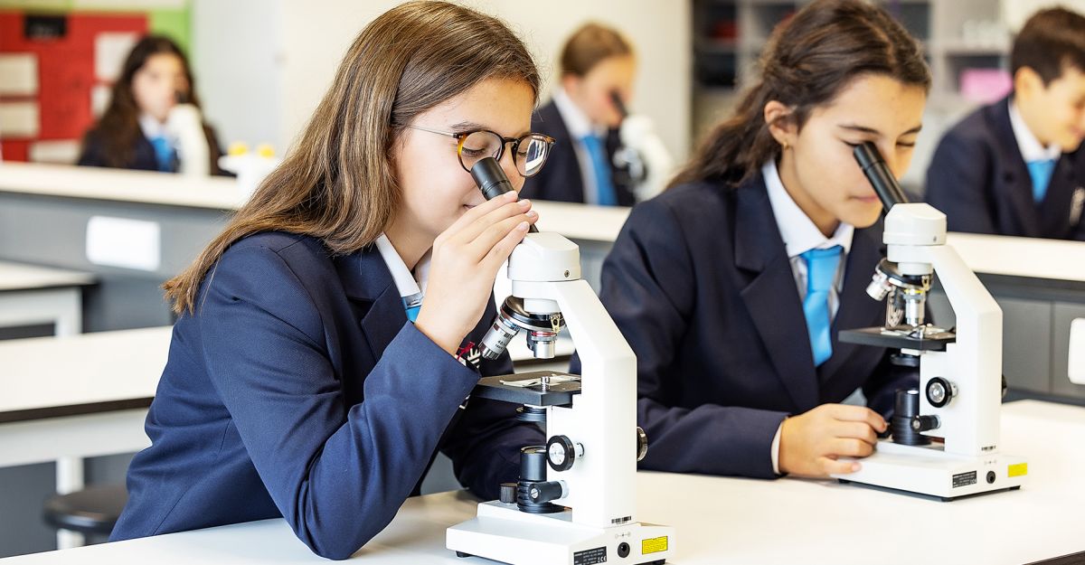 What is the British curriculum? Full details of the English National ...