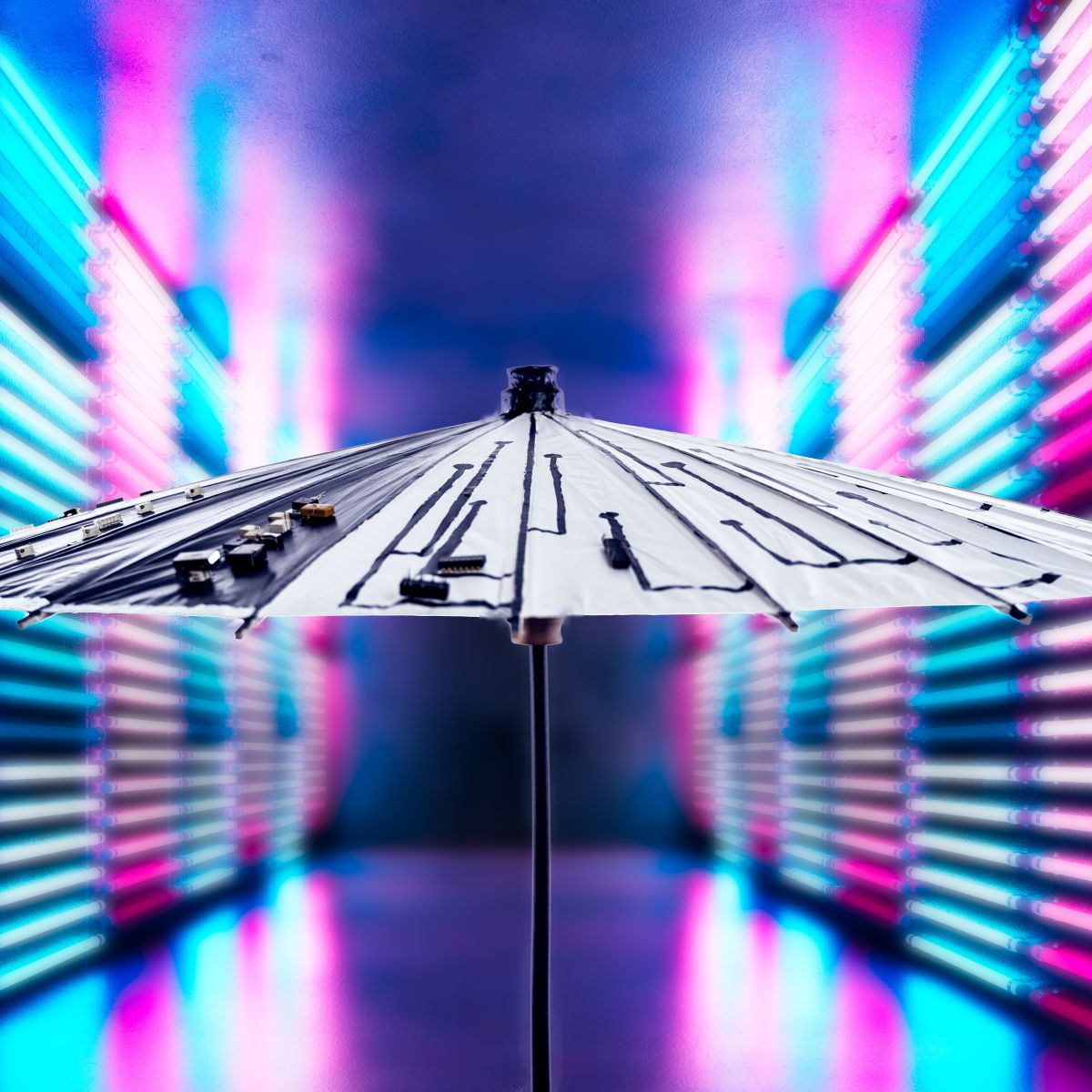 Glass Flames, Purple Flowers | LOGOS Magazine | News Article - Bullis ...