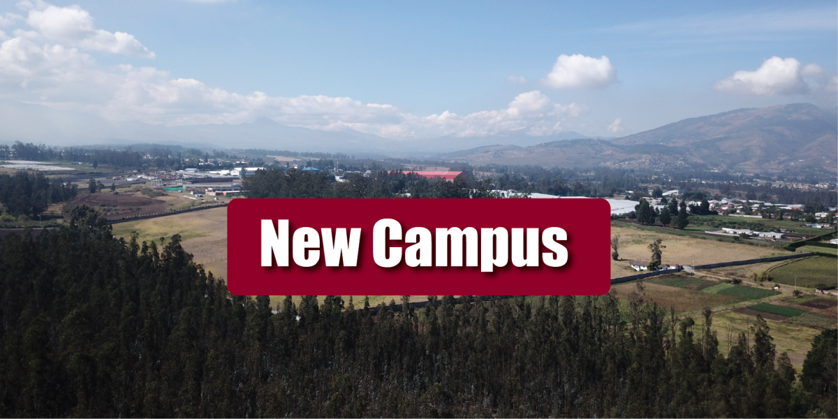 New Campus | Details New Campus
