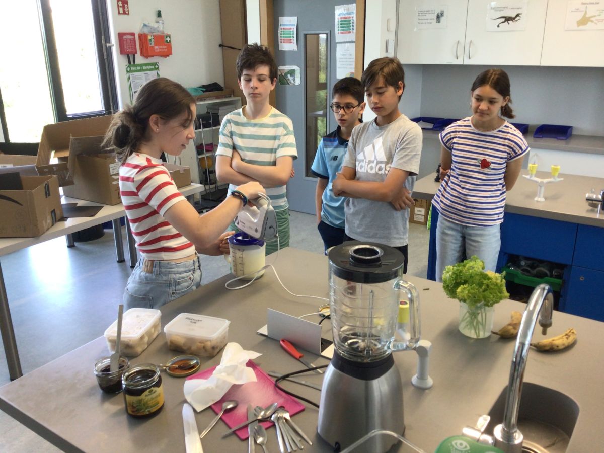 Year 8 Prep for Life | New Stories