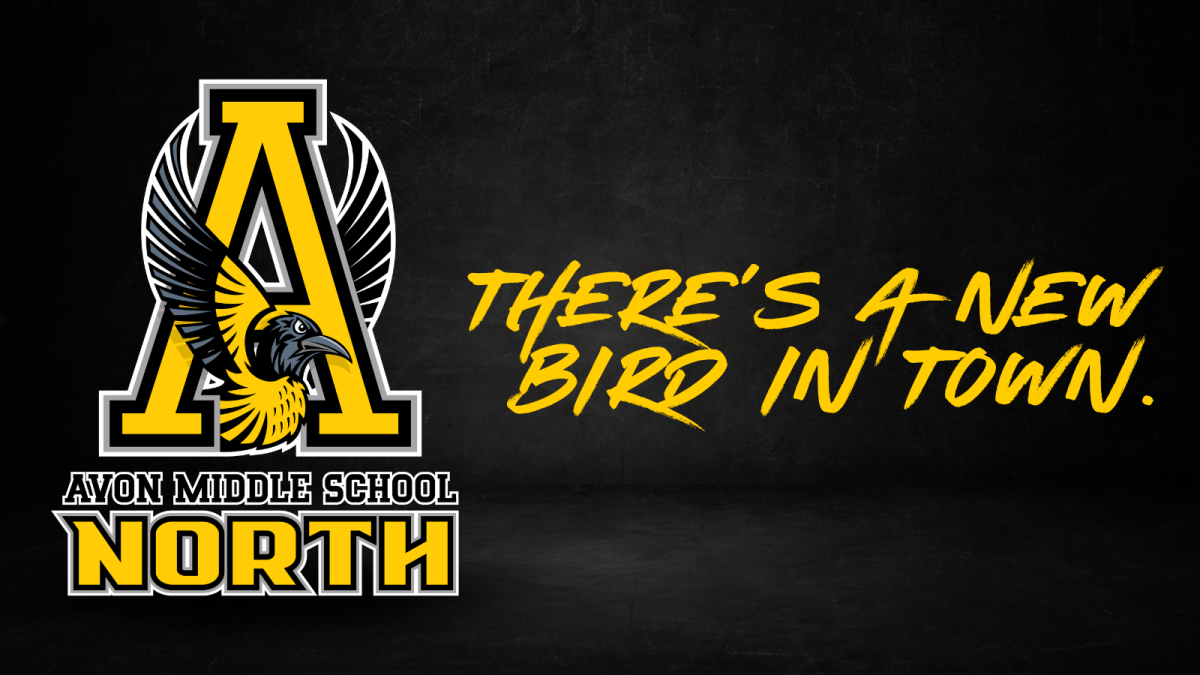 There's a New Bird in Town! | AMS North News & Updates