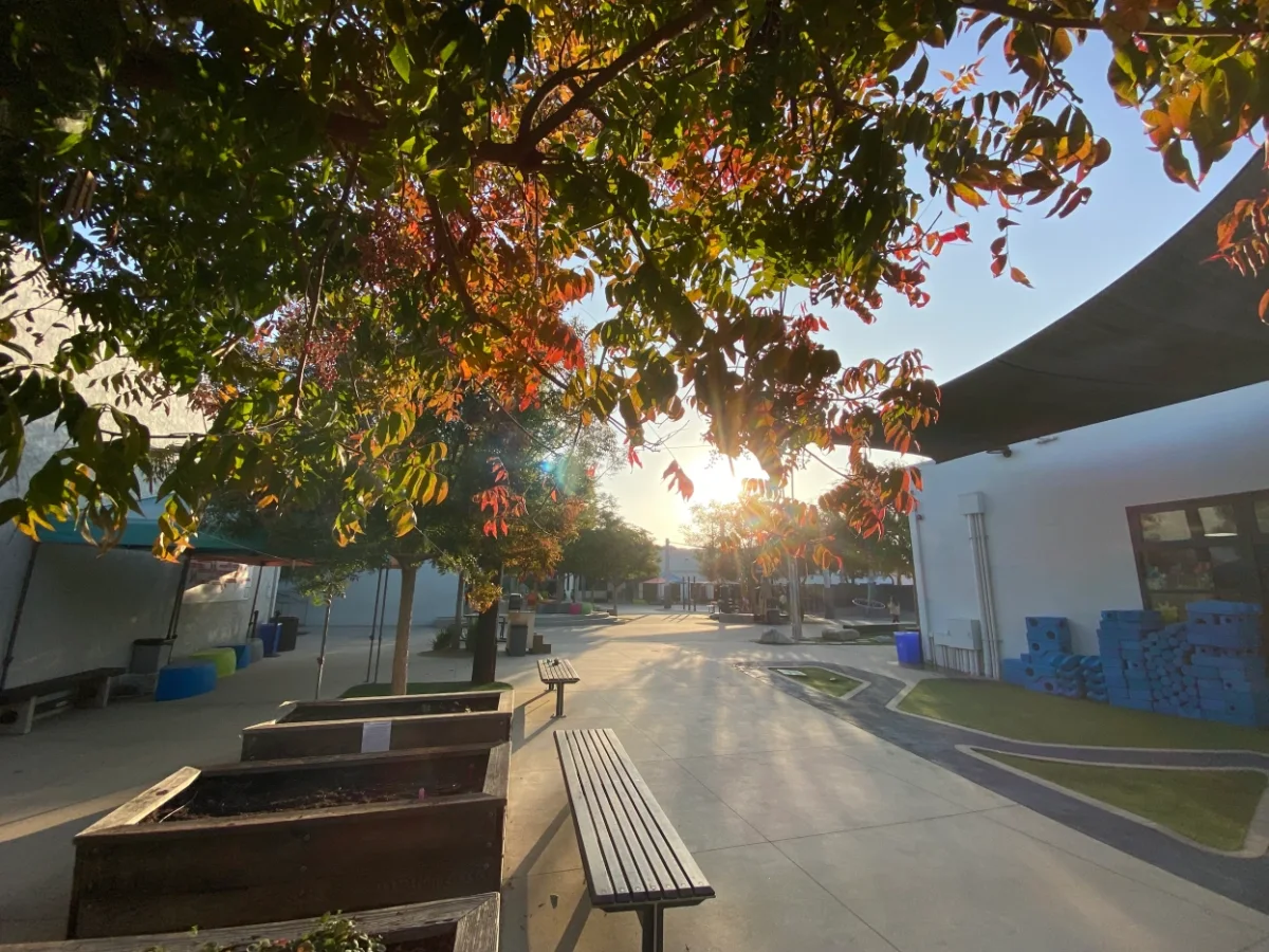 Restoring Your Exhausted and Tired Brain Through “Soft Fascinations ...