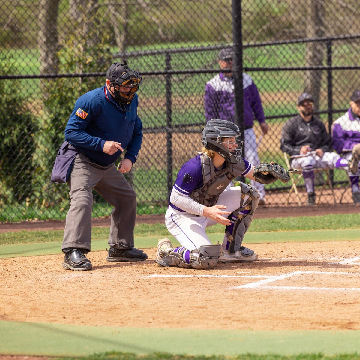 Baseball Earns Five Spots on Mercury All Area Teams | Athletics News Posts