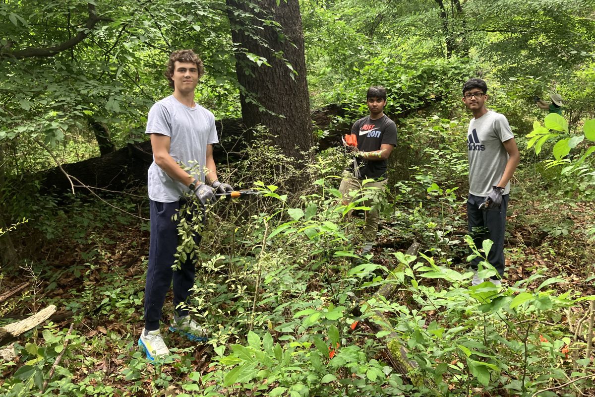 Restoration Ecology Intern Reports on Campus Invasive Species Removal ...
