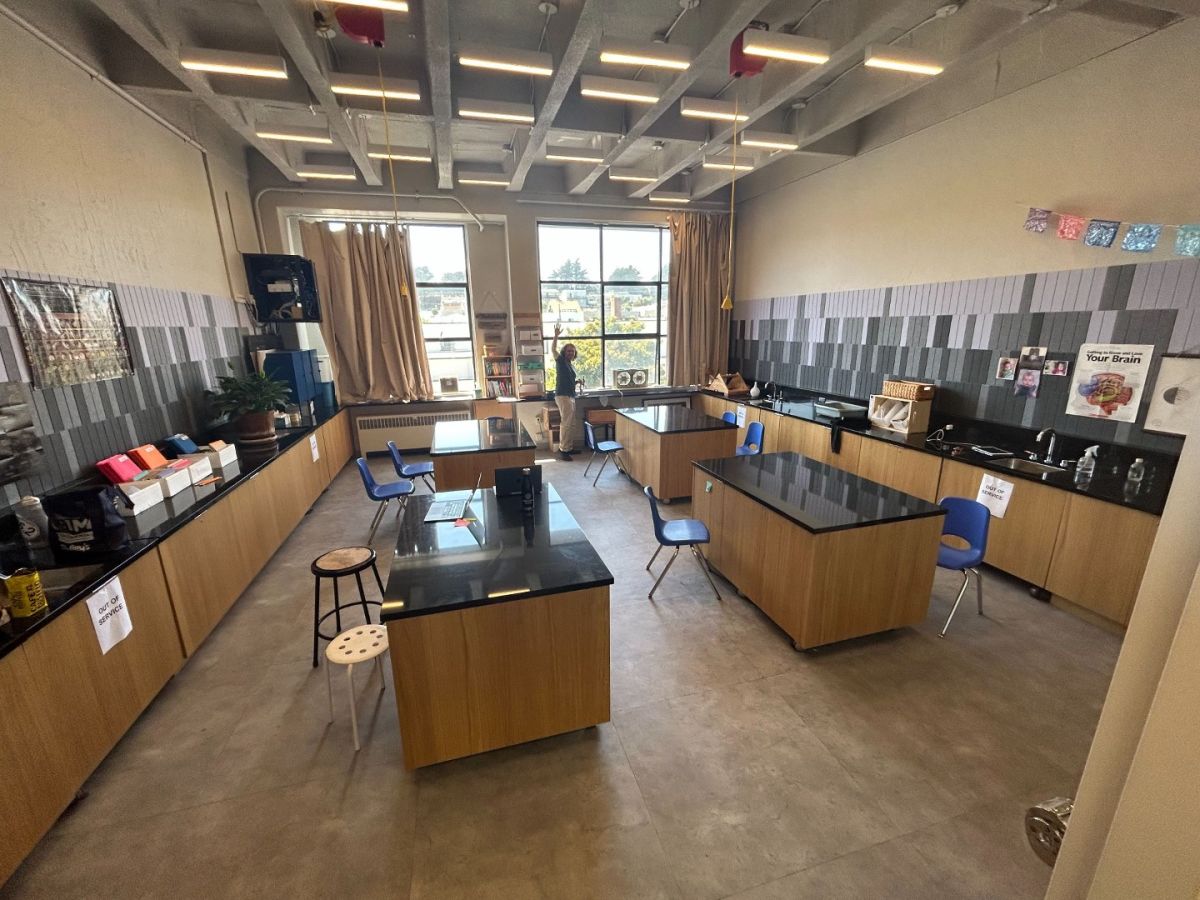 Introducing the Lower School Science Lab | post - Alta Vista School