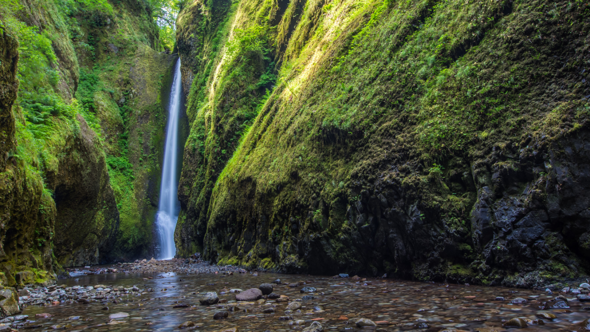 Filled to Overflow: Busyness, Contentment, and the Donner Party | blog post