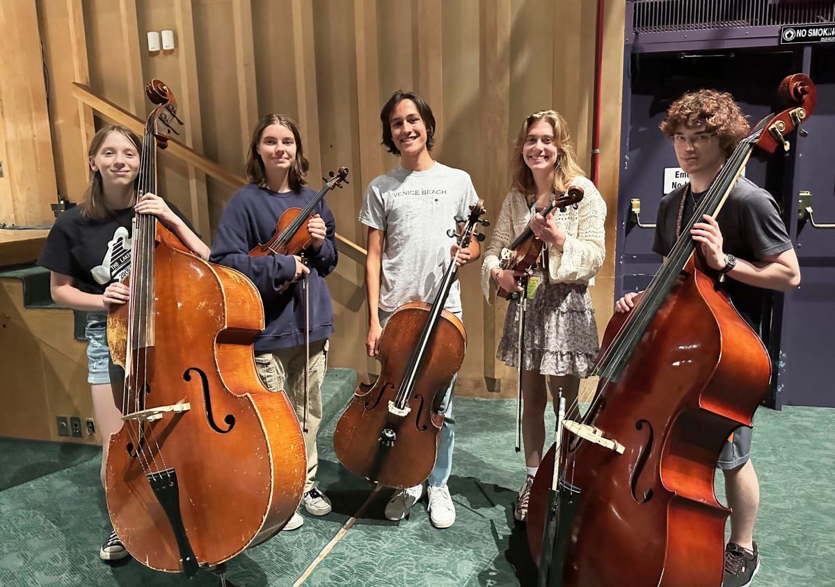LHS Boasts Regional/State Orchestra Spots | Post Detail