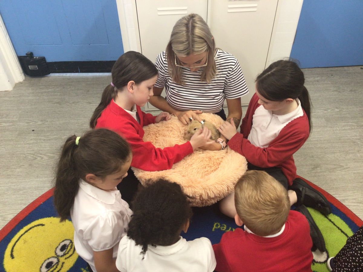 ‘Therapy bunny’ to offer emotional support for pupils at Oasis Academy ...