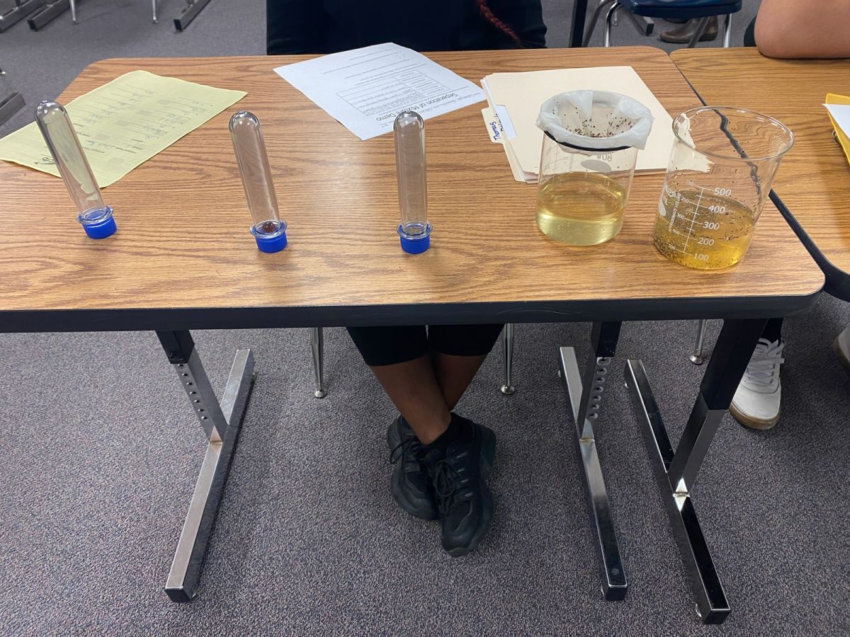 Science Rocks at Salazar! | Post Details Page - Bea Salazar Learning Center